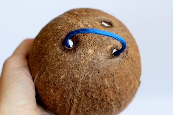 Simple Coconut Shell Instruments